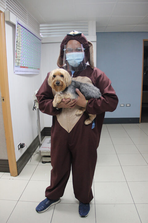 VIP Mandaluyong - Vets in Practice