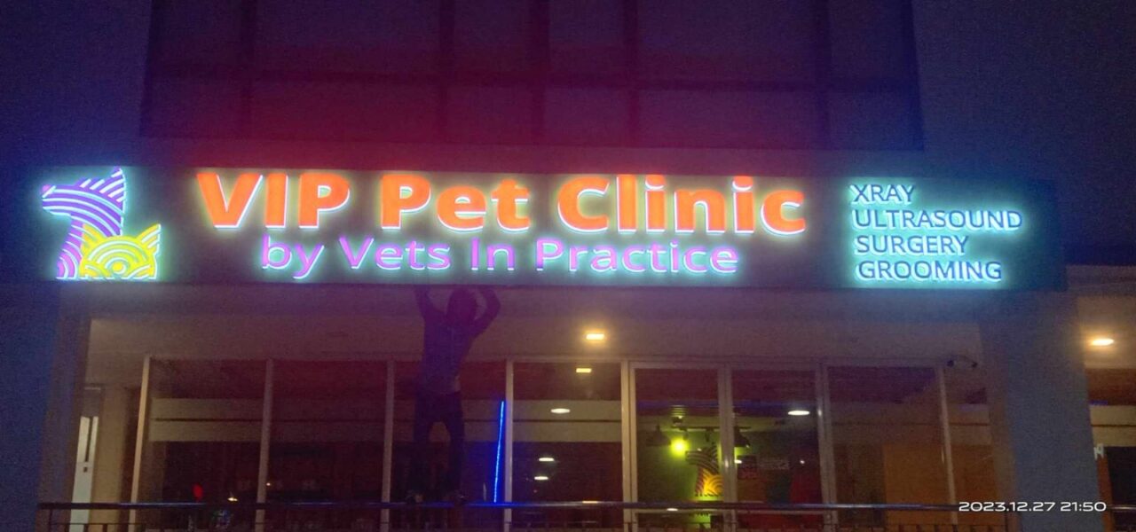 VIP Pet Clinic - Vets in Practice