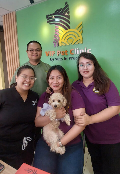 VIP Pet Clinic - Vets in Practice